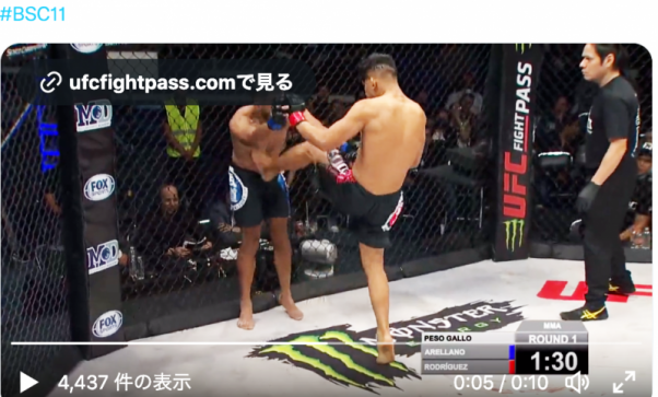 怒涛ラッシュから“エグい”前蹴りKO！腹部に突き刺し悶絶ダウン＝メキシコBSC - eFight【イーファイト】格闘技情報を毎日配信！