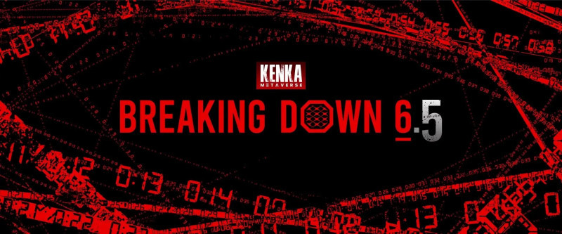 12.4『BreakingDown』全試合 結果（ポーランドの刺客vsてる、高垣勇二vsこめお など）＝ブレイキングダウン 試合結果 - eFight【イーファイト】格闘技情報を毎日配信！