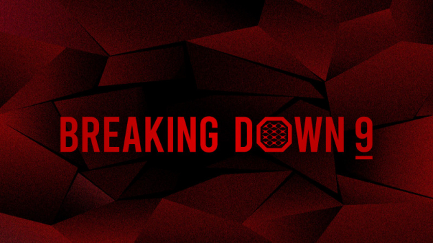 BreakingDown『BreakingDown9』（ブレイキングダウン9） - eFight【イーファイト】格闘技情報を毎日配信！