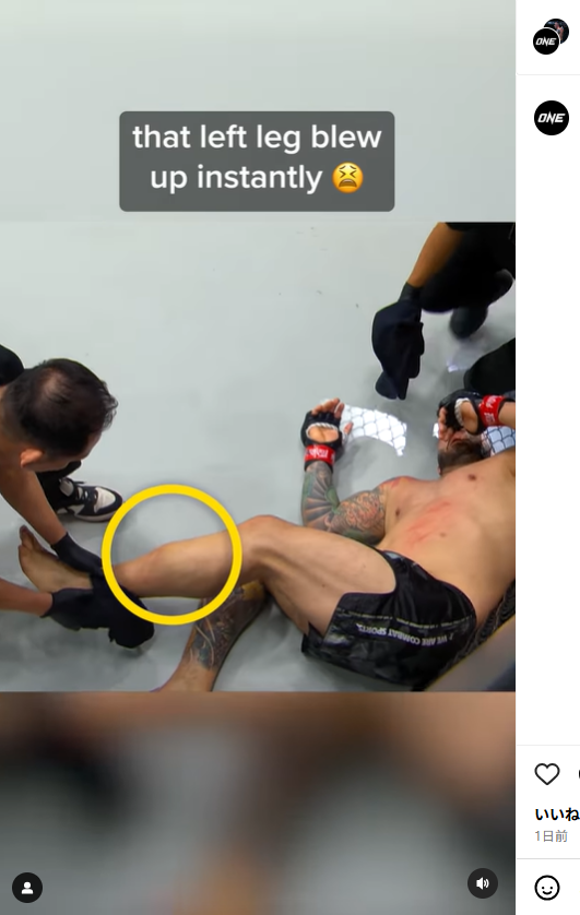 one1 - eFight【イーファイト】格闘技情報を毎日配信！