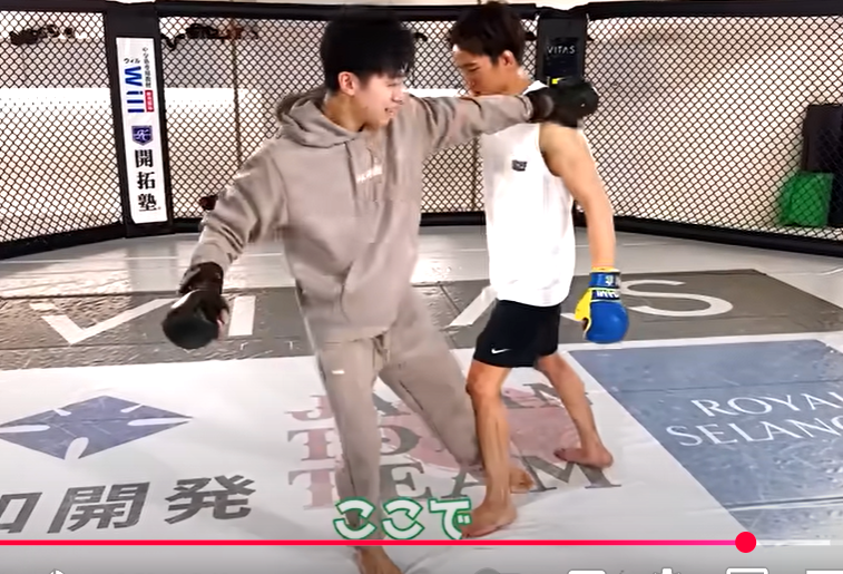 ph004 - eFight【イーファイト】格闘技情報を毎日配信！