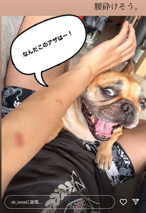 rena1 - eFight【イーファイト】格闘技情報を毎日配信！